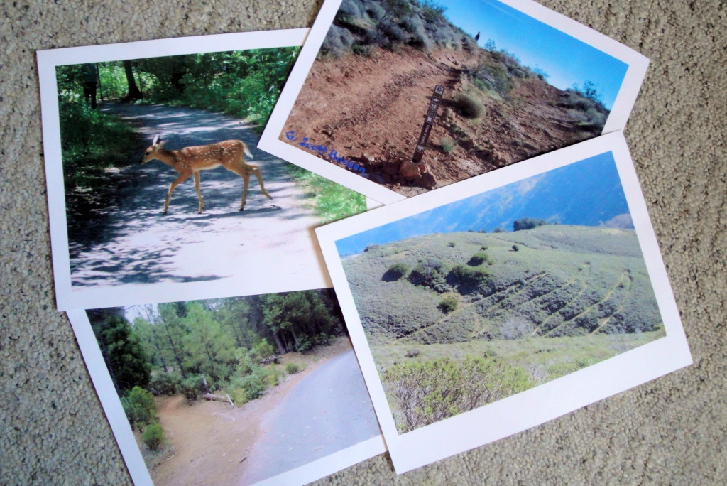 "Outdoor Trail" Lesson Plan 1 - Lessons In TR