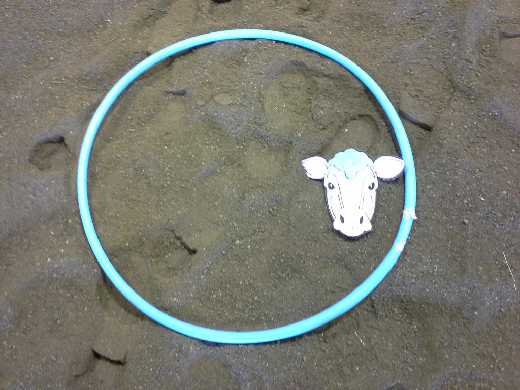 Calf Roping Game - Lessons In TR