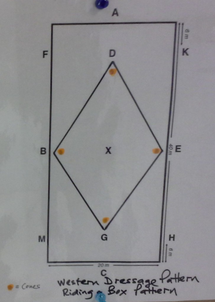 Outside Rein & Diamond Pattern - Lessons In TR