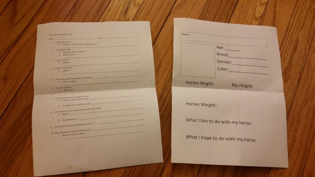 Unmounted Horsemanship Activity Ideas - Lessons In TR