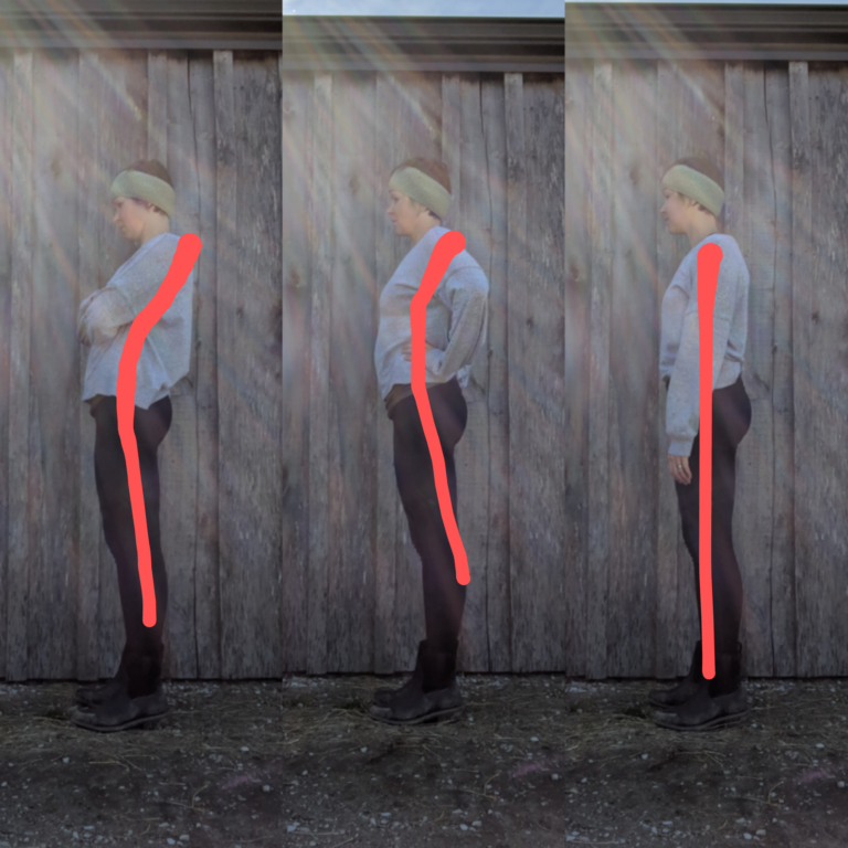 Posture While Instructing Riding Lessons - Lessons In TR