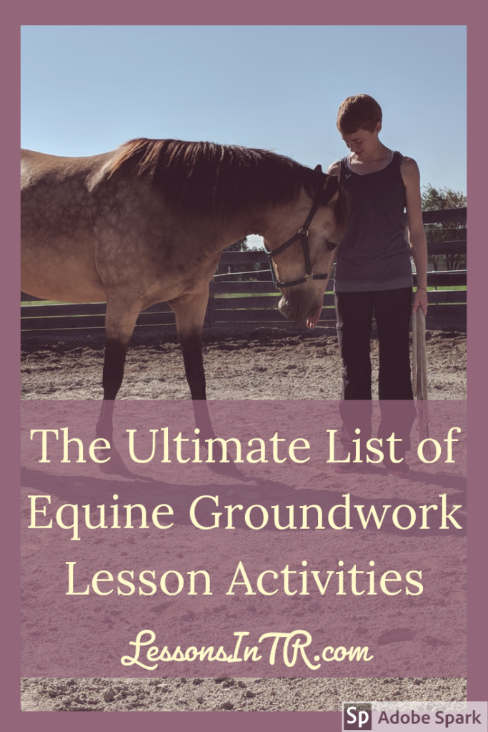 The Ultimate List of Equine Groundwork Lesson Activities - Lessons In TR